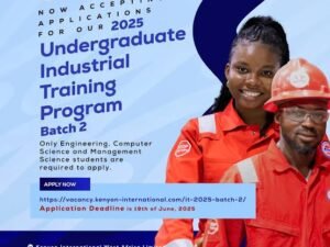 Apply Now: African Union CIEFFA Online Capacity Building Training 2025
