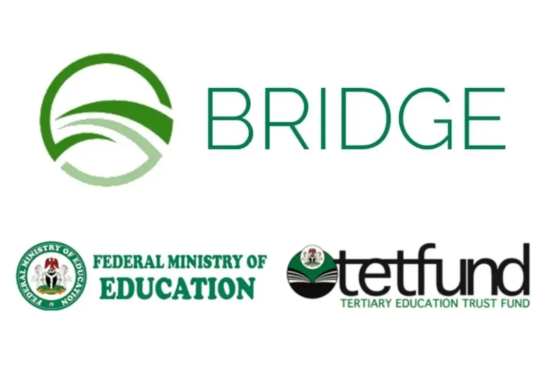 Federal Ministry of Education Launches BRIDGE Program for Global Academic Collaboration | Apply Now