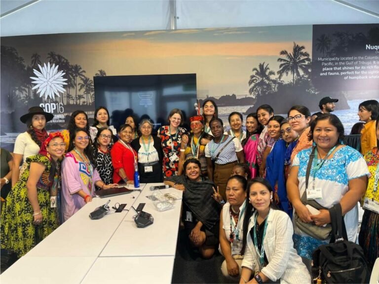 Land is Life Indigenous Women Program 2026 | Up to $3600 Stipend and ...